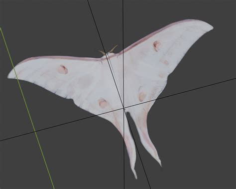 How Can I Join Two Parts Of This Moth Into A Single Object Without