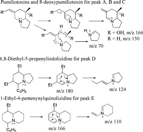Mass Fragmentation Pathways Proposed For Alkaloids From Oribatid Mites