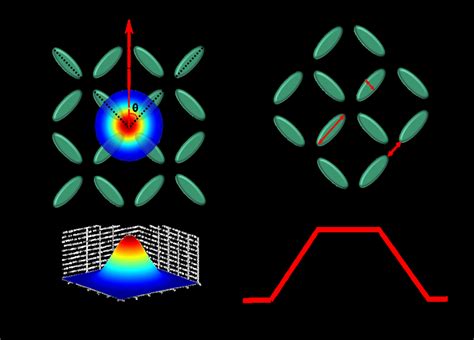 A Schematic Diagram Of Open Edged Sasi System With Local Transient