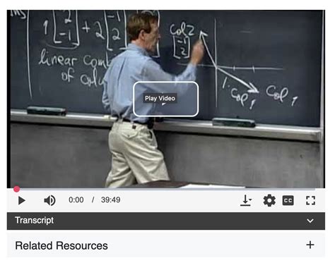 Inconsistent Styling In The Video Player · Issue 893 · Mitodlocw Hugo Themes · Github