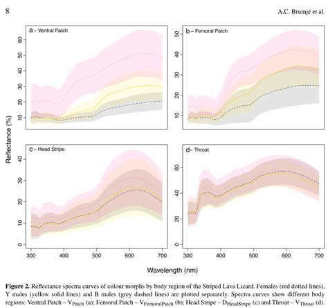 Reflectance Spectra Curves Of Colour Morphs By Body Region Of The