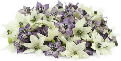 Pepper Mix Microflowers™ Information And Facts