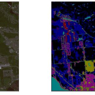 Model Inputs And Outputs Download Scientific Diagram