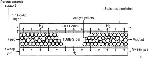 Schematic Representation Of The Co Current Catalytic Membrane Reactor Download Scientific Diagram
