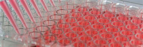 Biochemical Binding Adcc Assays Utilizing Alphalisa Toolbox Reagents For The Characterization Of