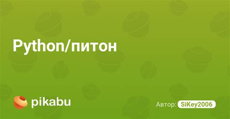 Python питон Пикабу