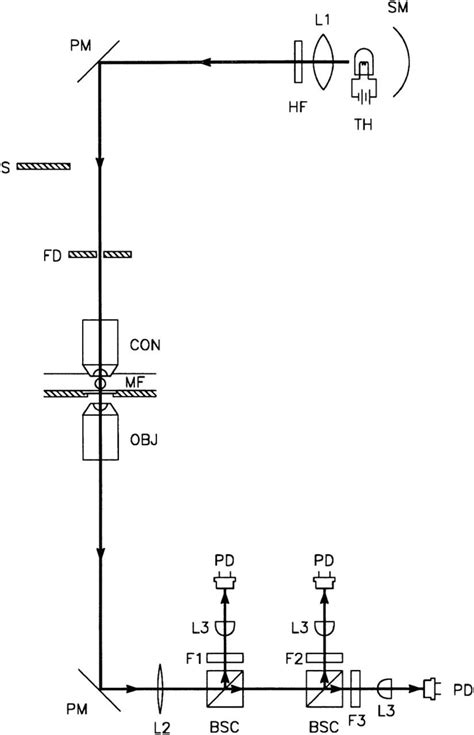 schematic diagram of the optical apparatus used to simultaneously
