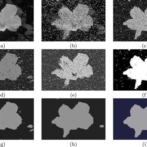natural image segmentation results c 2 a original image b image