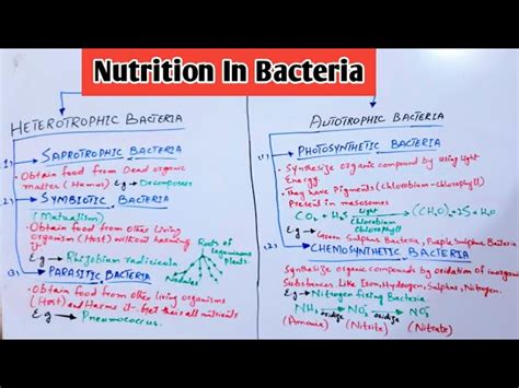 Autotrophic Bacteria