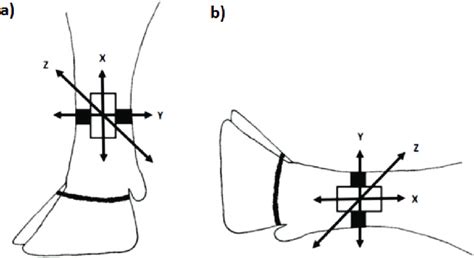 Illustration Of The Position Of The 3 Dimensional Accelerometer And X