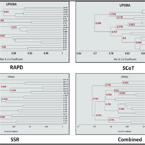 dendrogram based on upgma cluster analysis showing the genetic