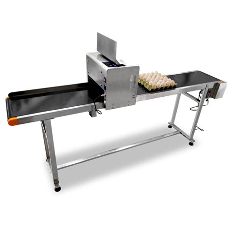 Low Price Continuous Date Code Printing Machine Automatic Date Code Printing Machine Egg