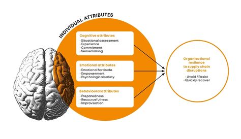 Employee Attributes And Organisational Resilience