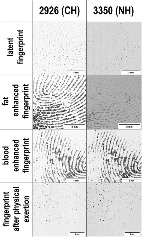 Rapid Chemical Detection And Segmentation Of Latent Fingerprints By