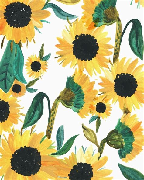 Sunflower Watercolor Wallpapers Top Free Sunflower Watercolor