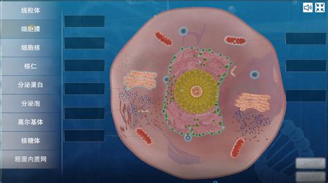 虚拟仿真实验教学解决方案专业提供商 北京润尼尔科技股份有限公司