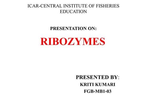 Ribozyme Ppt