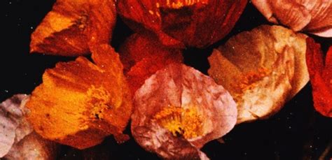 Data Space Deployment Europeana Pro