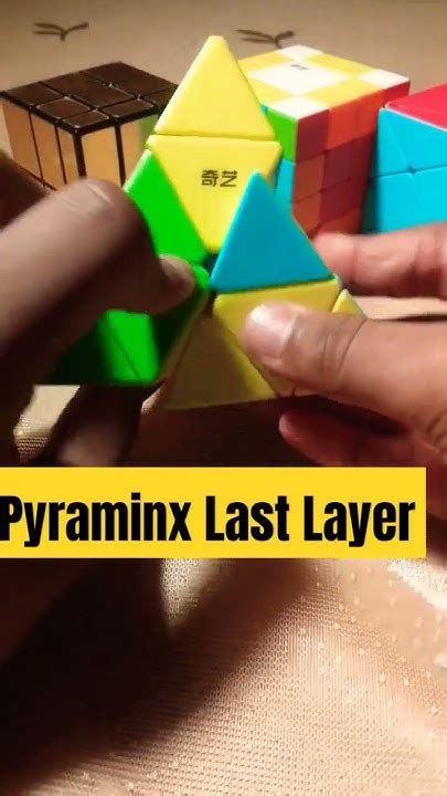 Pyraminx Cube Last Layer Solve Pyraminx Cube Tricks Farhaankhancuber Youtube Pyraminx Cube Last Layer Solve Pyraminx Cube Tricks Farhaankhancuber Youtube