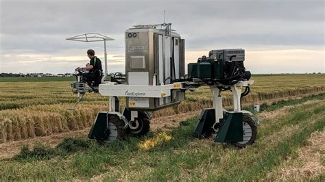 Australian Plant Phenomics Facility Data Team To Lead National Crop