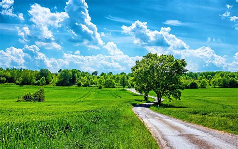 Hd Summer Scenery Wallpapers Wallpaper Cave