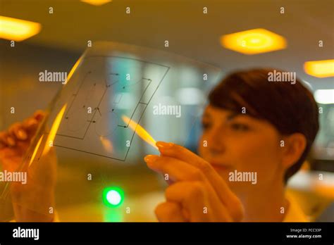 Close Up Woman Examining Diagram Transparency Stock Photo Alamy