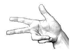 Classifiers Flashcards Quizlet