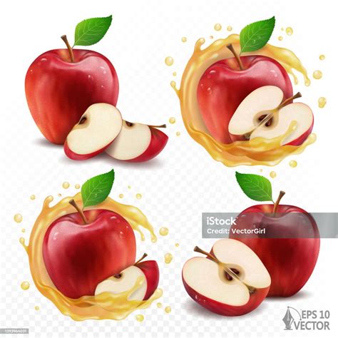반쪽과 조각이있는 천연 신선한 빨간 사과 육즙이 많은 투명한 스플래시 및 드롭 3d 사실적인 벡터 일러스트 레이 션 사과에 대한 스톡 벡터 아트 및 기타 이미지 Istock
