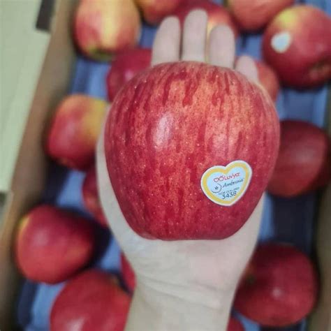 Apple 🍎ambrosia ยี่ห้อ Luvya ลังละ 1 ××× บาท จาก Facebook