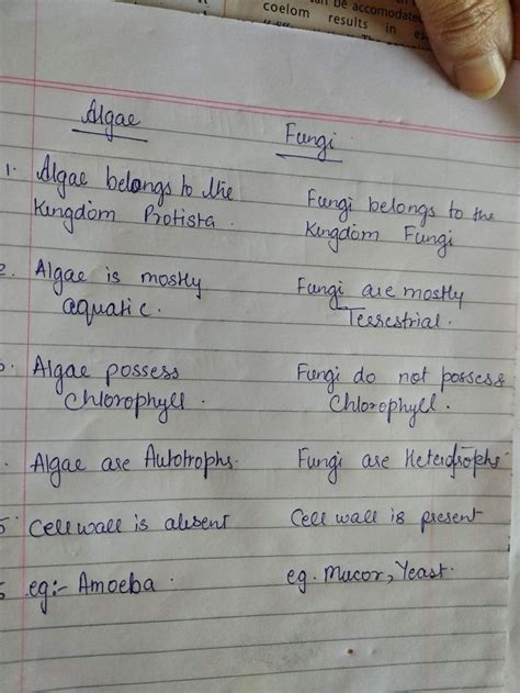 ALGAE FUNGI DISTINGUISH Byanupritashinde Study Flashcards Science Notes Study Skills