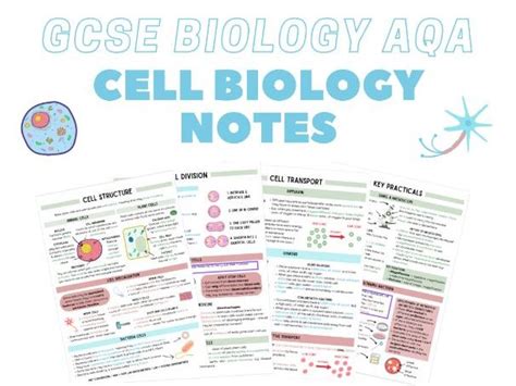 Gcse Aqa Cell Biology Notes Teaching Resources