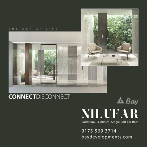 Bay Developments Ltd On Linkedin Baydevelopments Theartoflife