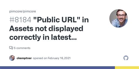 Public Url In Assets Not Displayed Correctly In Latest Pimcore