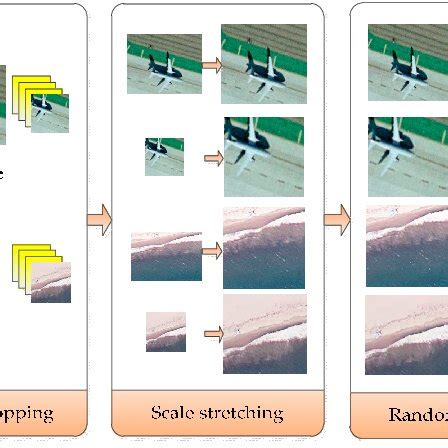 Basic Structure Of CNN 1 Input Layer The Input Layer Is The Input Of Download Scientific