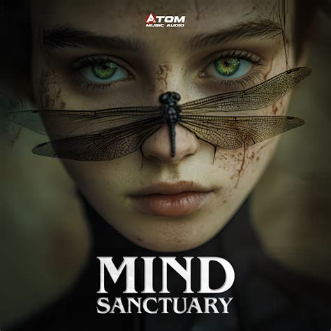 Introspect Youtube Music