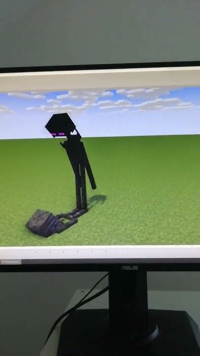 Hacker Wither Skelet Vs Endermen Youtube