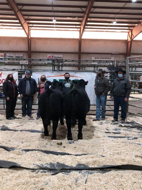 Alberta Simmental Association Home Facebook