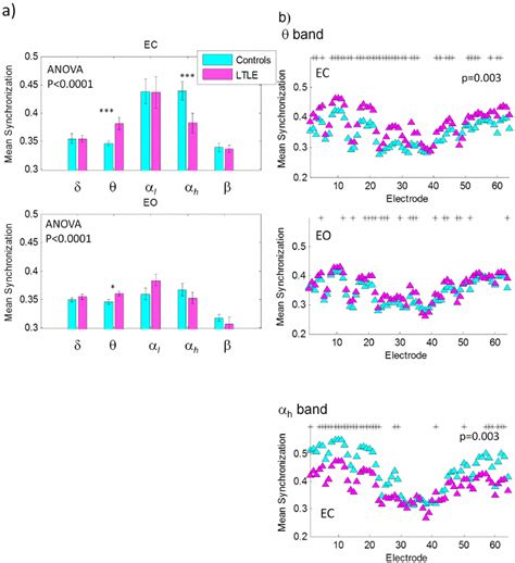 a mean synchronization computed by averaging synchronization between