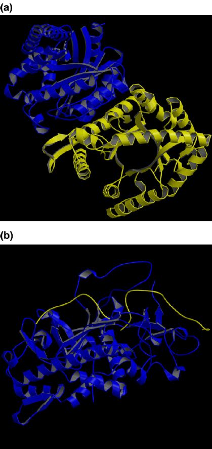 A Typical Example Of Ordered And Disordered Complexes The Figure Shows