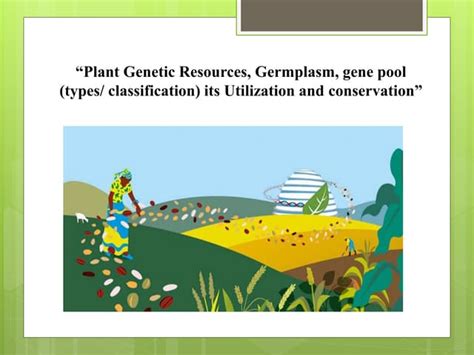 Plant Exploration Germplasm Collection Conservation And Utilization