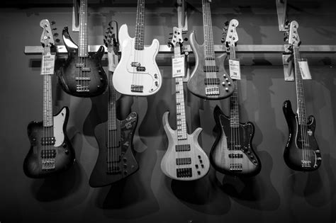 Collection Photos, Download The BEST Free Collection Stock Photos & HD ...