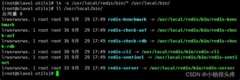 Redis（主从复制、哨兵模式、集群）概述及部署redis Benchmark 测试集群 Csdn博客