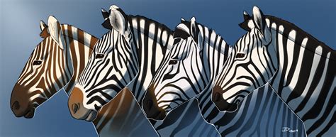 Zebra Day By Jose1106 On Deviantart