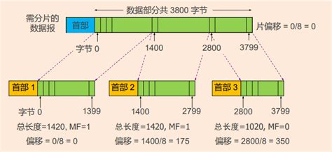 ip数据报的格式（计算机网络） csdn博客