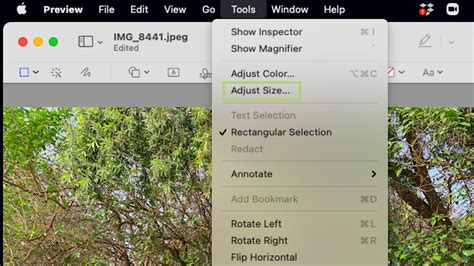 How To Resize And Crop A Photo Using Preview On MacOS Laptop Mag