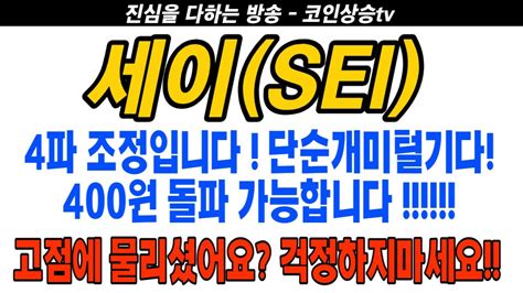 세이 Usdc 스테이블코인 서클 블랙록 세이코인전망 세이코인차트분석 코인전망 비트코인 이더리움 도지코인 Youtube