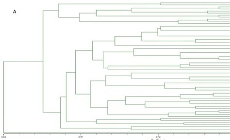 Dendrograms Of 65 G Arboreum Genotypes Based On The Similarity