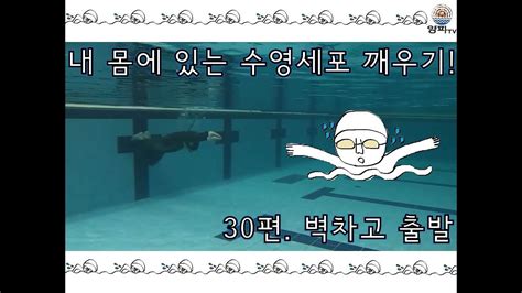 내 몸에 있는 수영세포 깨우기30편 벽차고 출발 Youtube