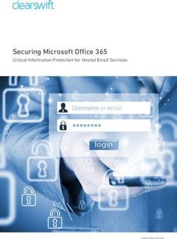 Securing Microsoft Office Critical Information Protection For Hosted Email Services