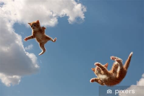 Solved Objective Show The Skills Learned With Html And Css